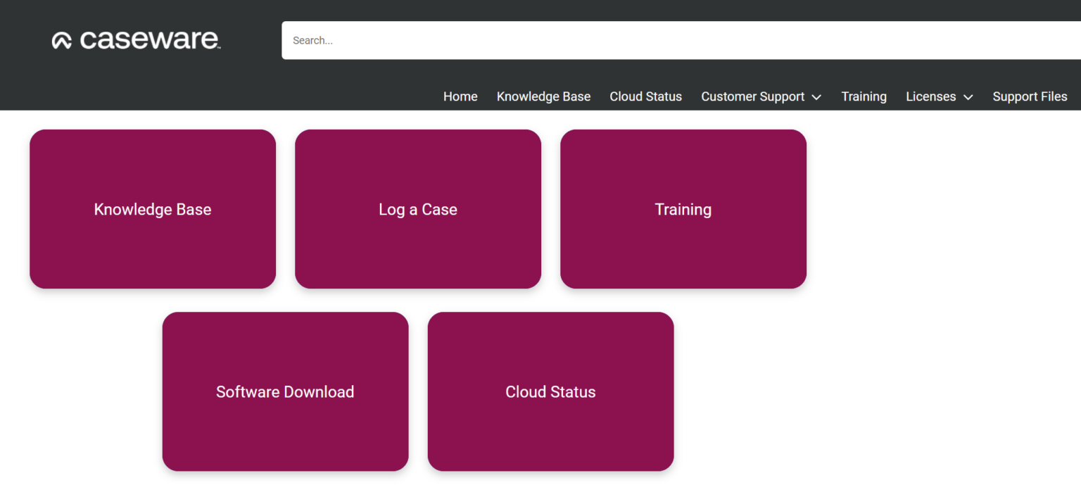 MyCaseware Archives | Caseware Denmark