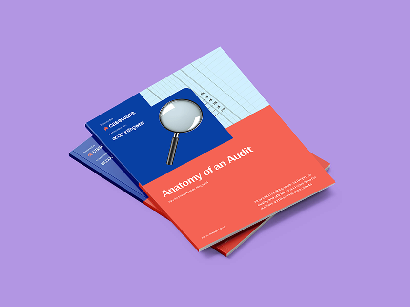 Anatomy of an Audit | Caseware